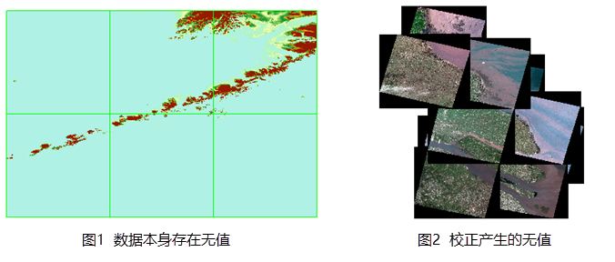 Mosaic Dataset Display